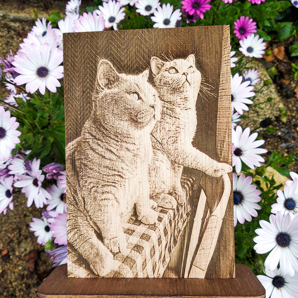 Photos on Wood | D&M Laser Cat